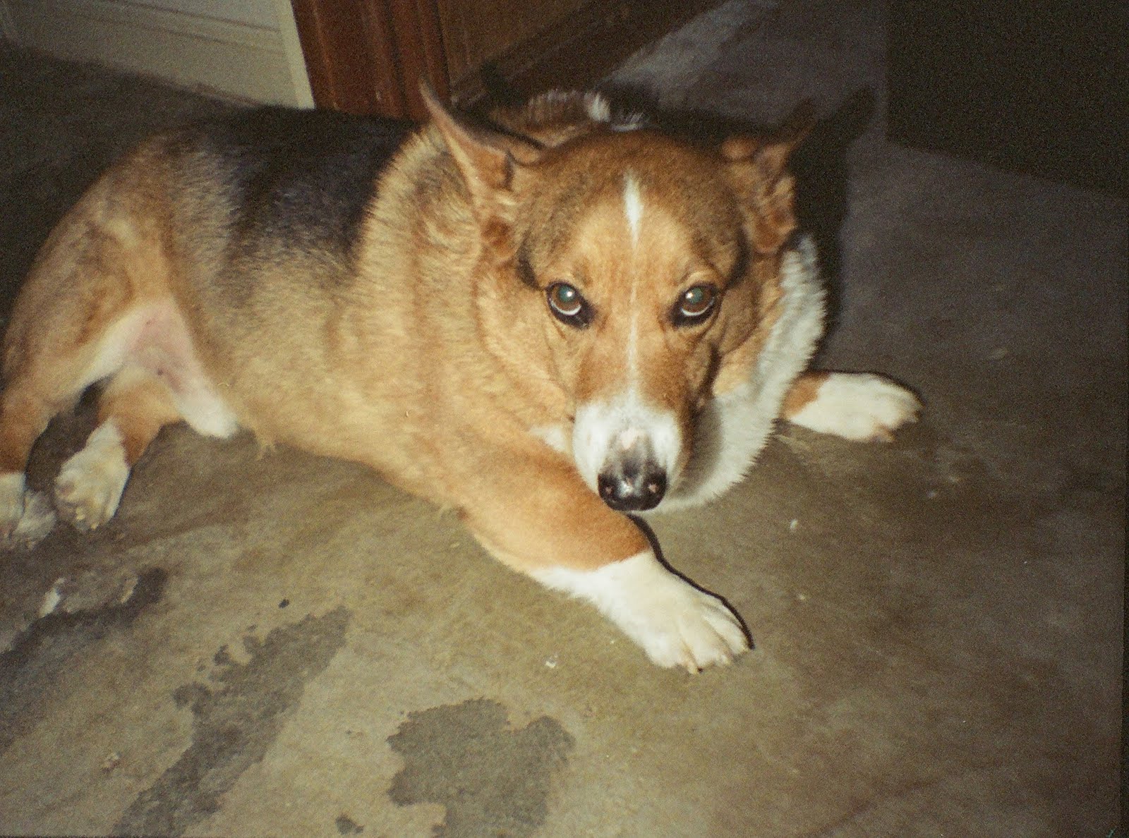 Visually Stunning: Suzanne's House