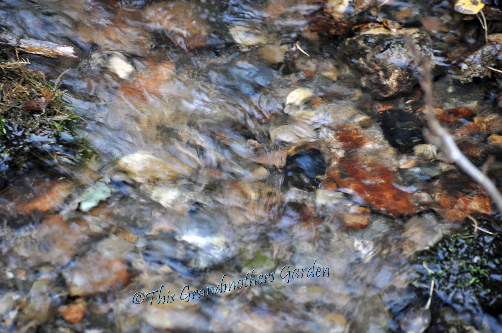 This Grandmother's Garden: Cascade Springs in Autumn... Magical!