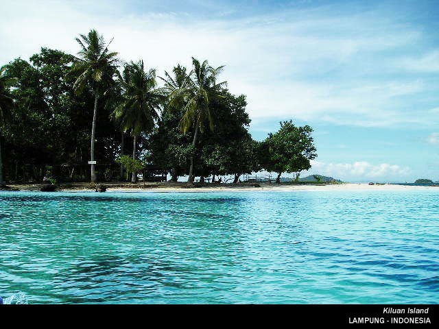 Playing with Dolphin at Teluk Kiluan - Lampung, Indonesia ...
