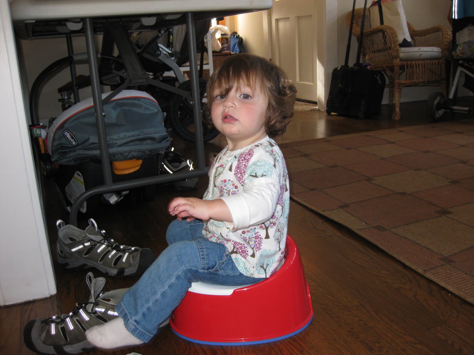 Janie's Zoo, Emma & Lily, too: First potty practice