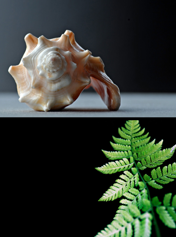 John Hedgecoe Project