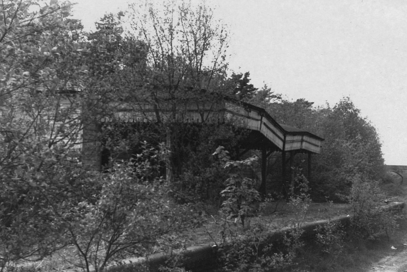 the rail thing: fittleworth