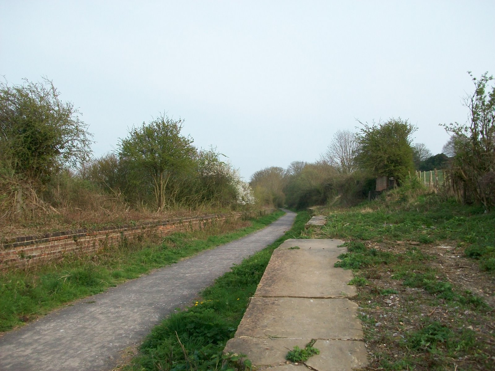 Rail Thing - Friends of the S&D: spetisbury again