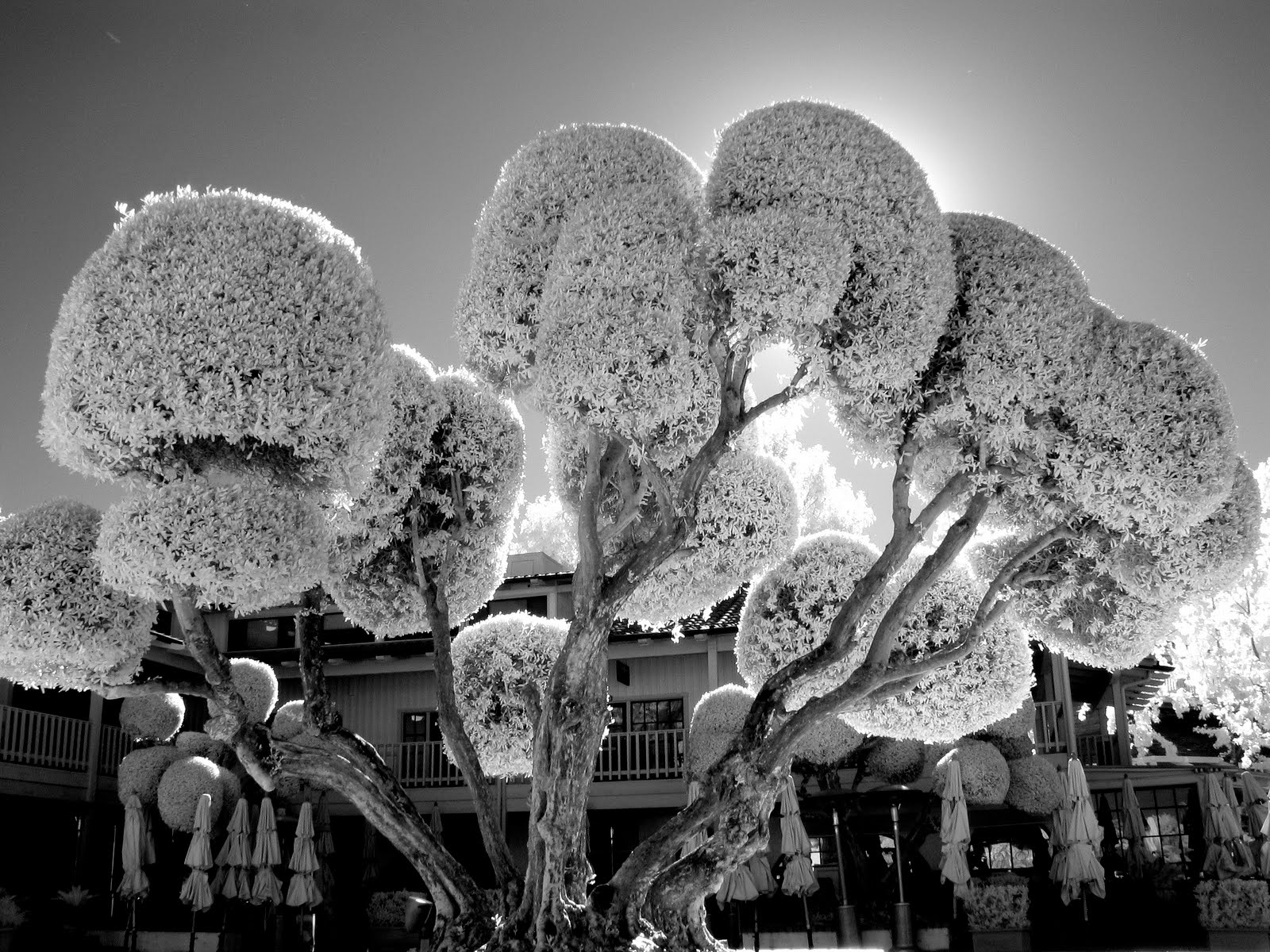 Our world between 650nm-850nm: First experience with IR photography