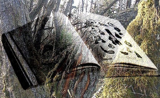 Talking in Circles: Sentience, Sapience, Story