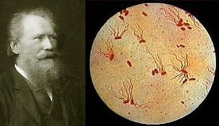 Microbiologos ilustres: Eberth, Karl Joseph (1835-1926)