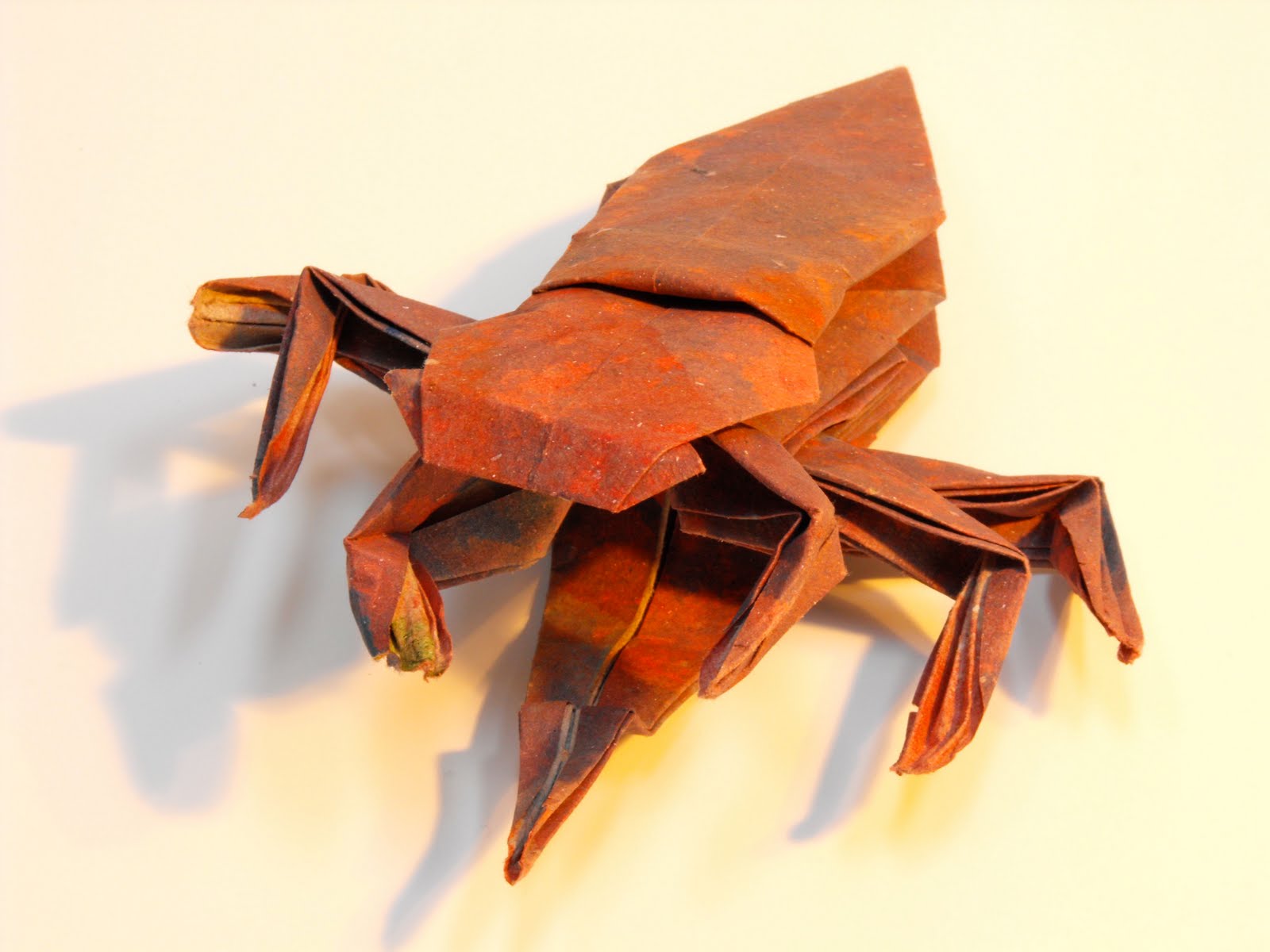origami gissendanner: Origami Insects and Such