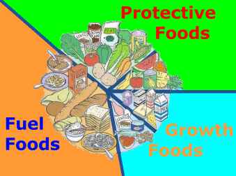 3ºBilingüe: THE WHEEL OF THE FOOD