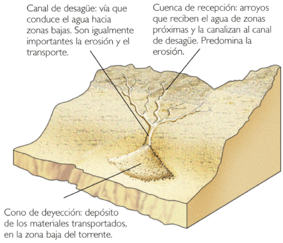 La clase de Ciencias: Torrente