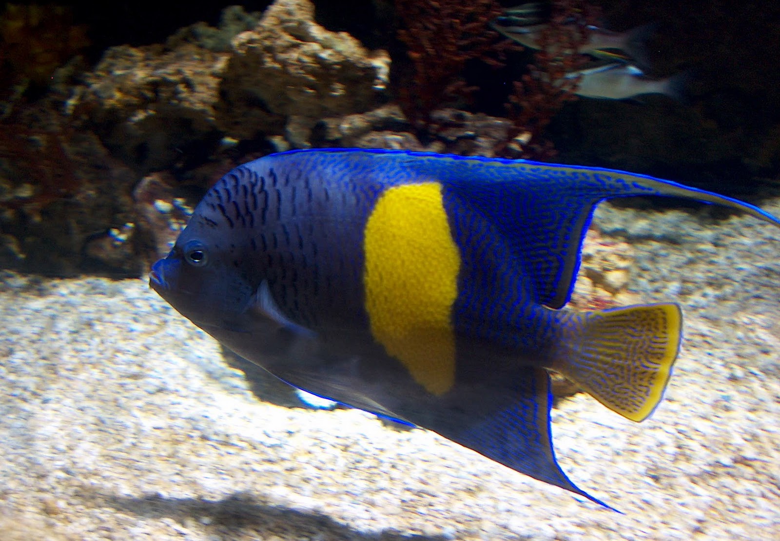 Pilgrims' Journey: Goin' Fishin'