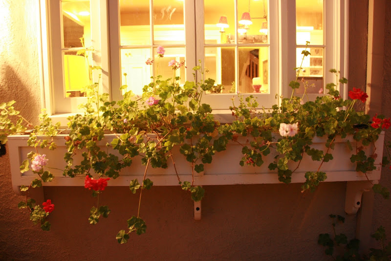 vignette design: Peeking Through the Windows