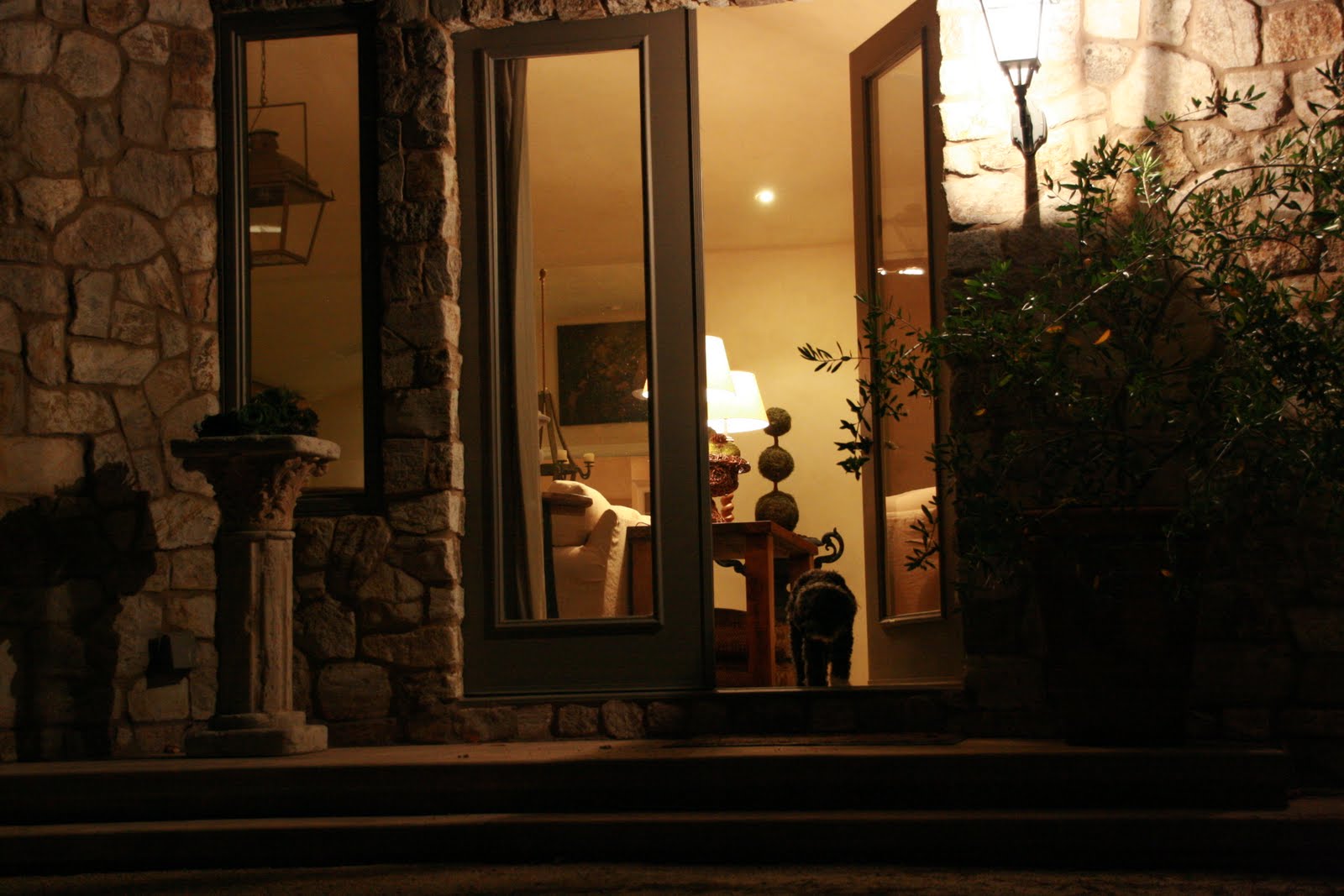 vignette design: Peeking Through the Windows