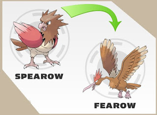 Nature Note #188: Rise of the Pokédex