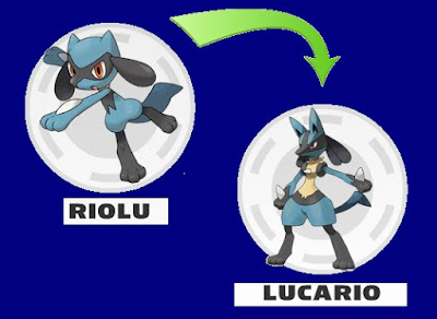 Rede Pokemon: evolution do riolu