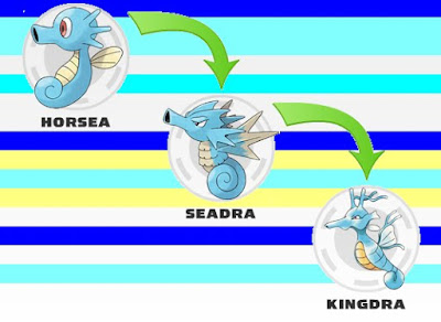 Rede Pokemon: evolution do horsea