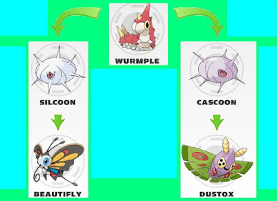 Rede Pokemon: evolution do wurmple