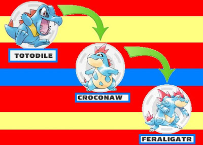 Rede Pokemon: evolution totodile