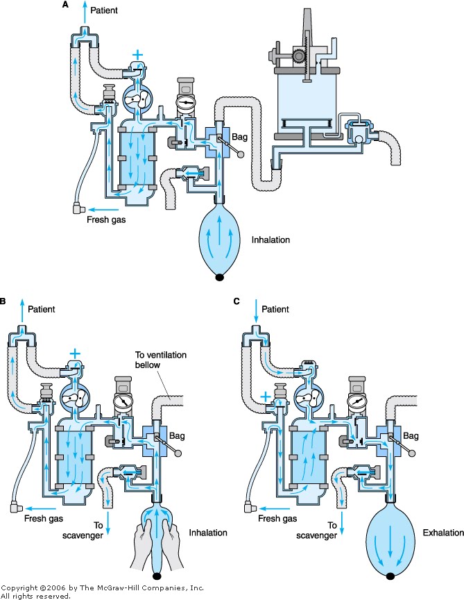MEDICAL BLOG: Mesin Anestesi - Sirkuit Pernafasan