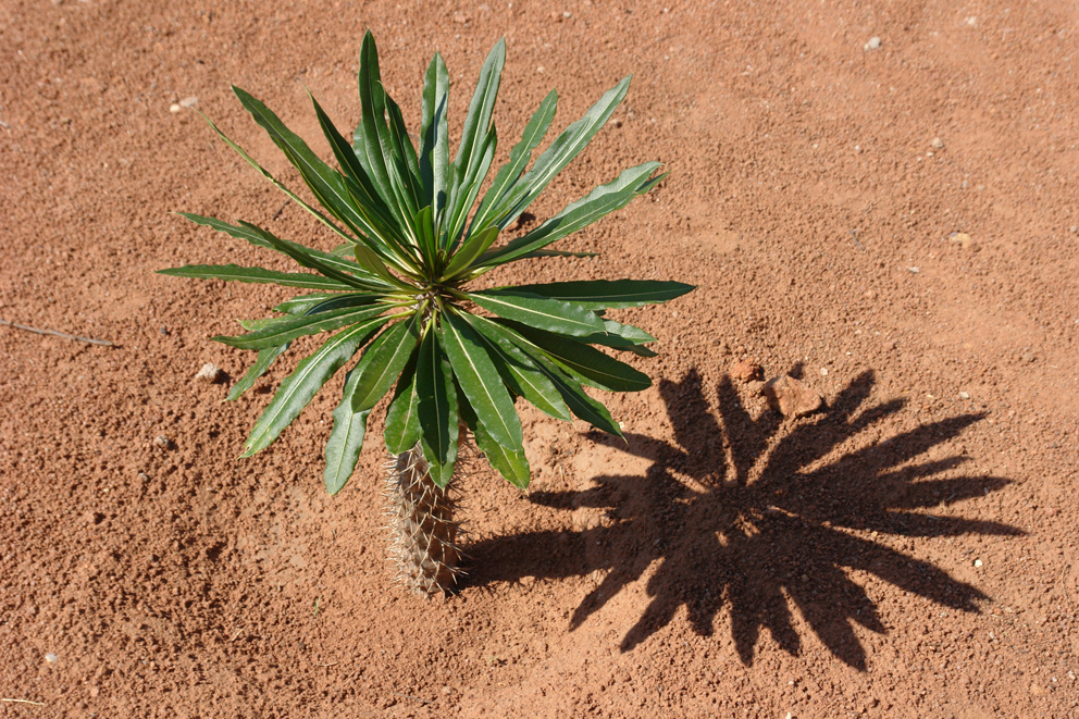 Sala Sentle: November 2010