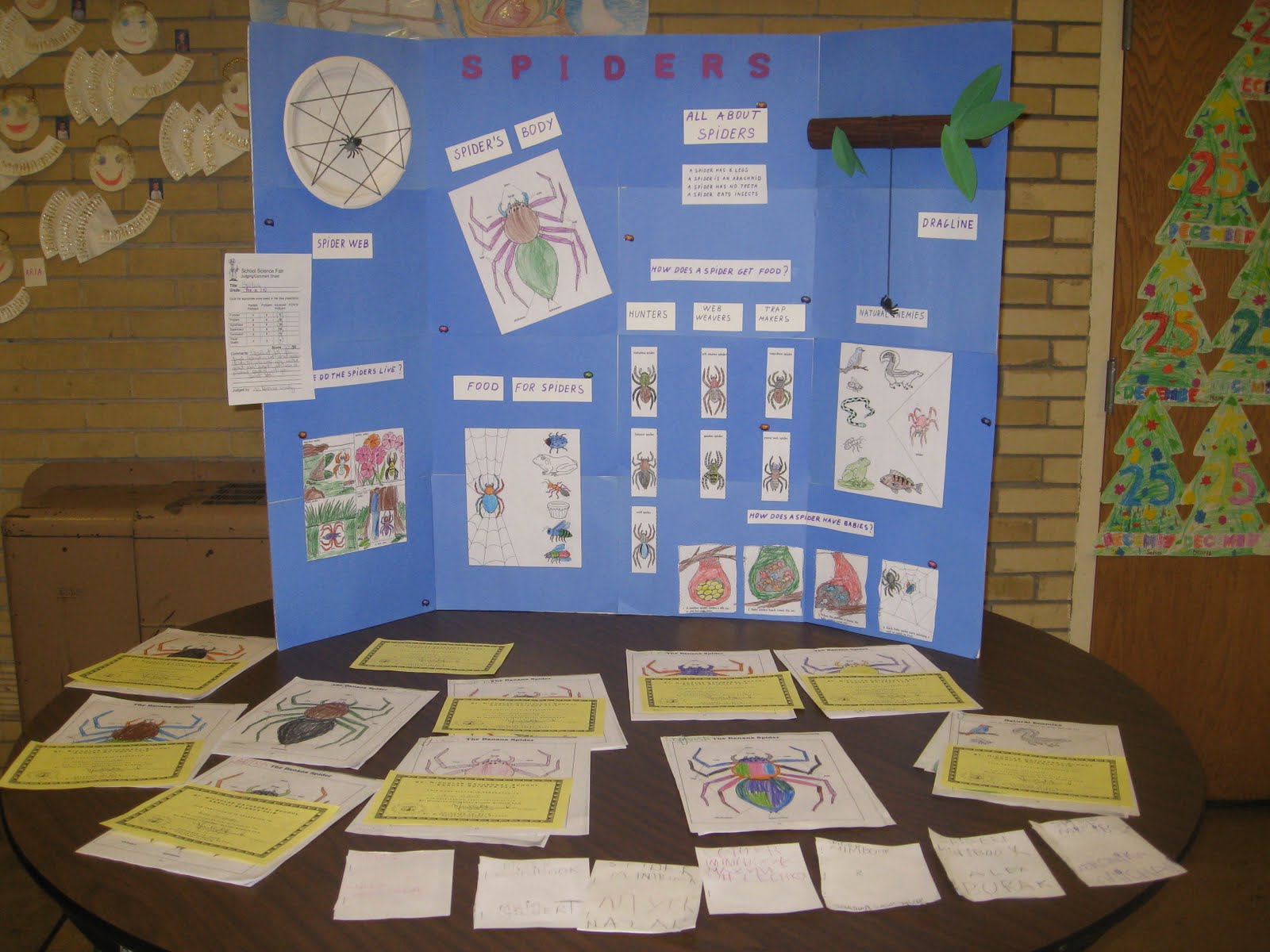 My Science Classroom: Science Fair 2010
