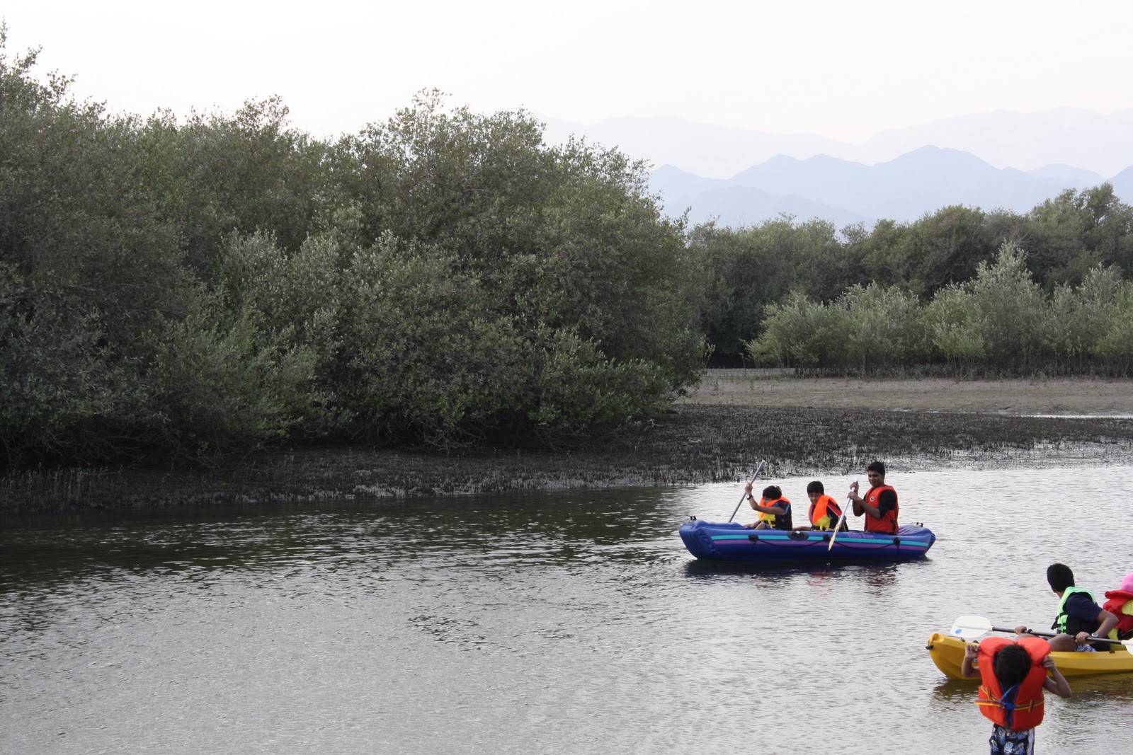 Through Traveler's Eyes: Kayaking in the Kalba Khor