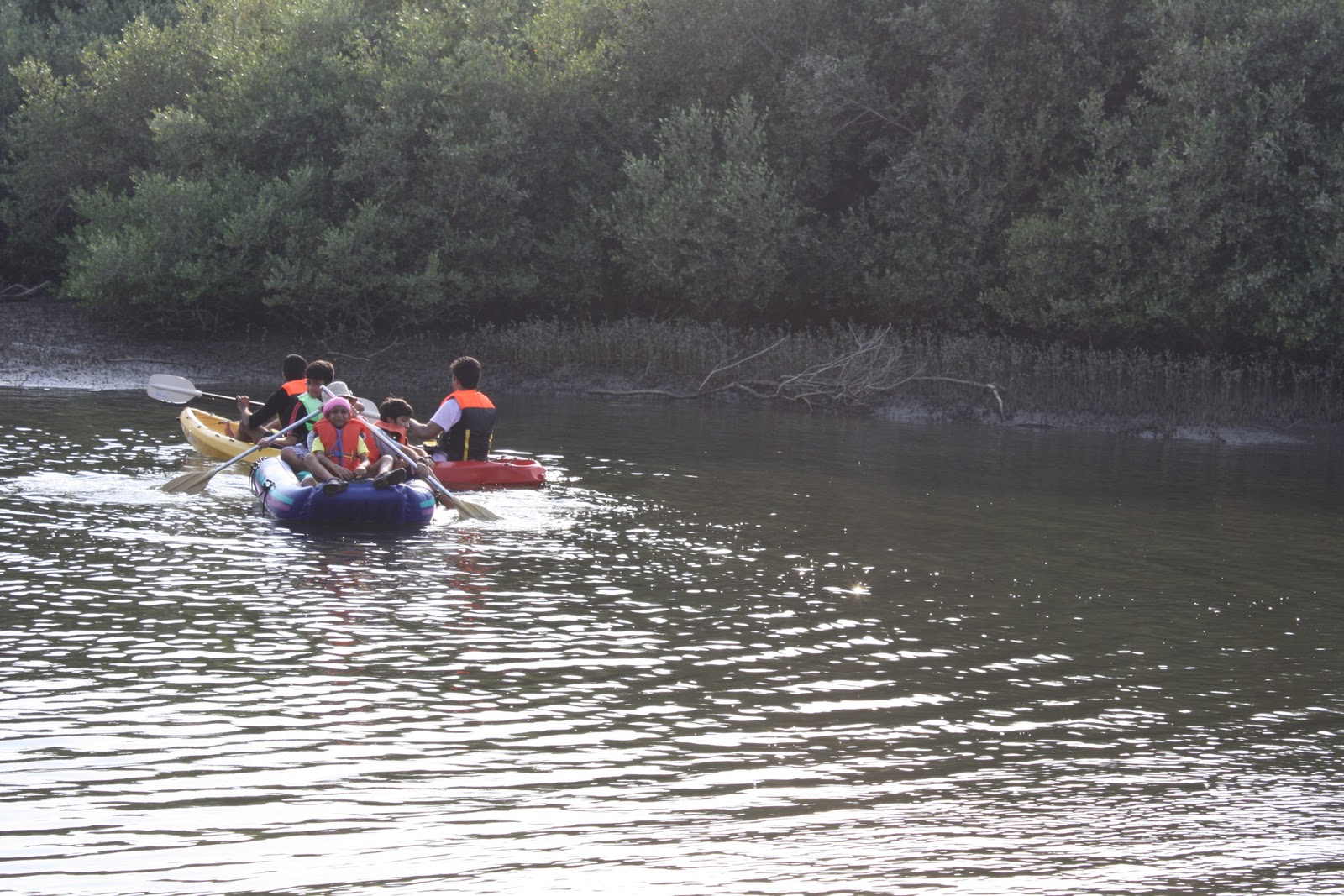 Through Traveler's Eyes: Kayaking in the Kalba Khor