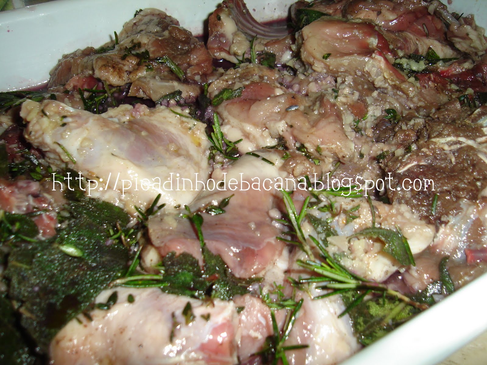 Picadinho de Bacana: Guisado de Tatu-Galinha