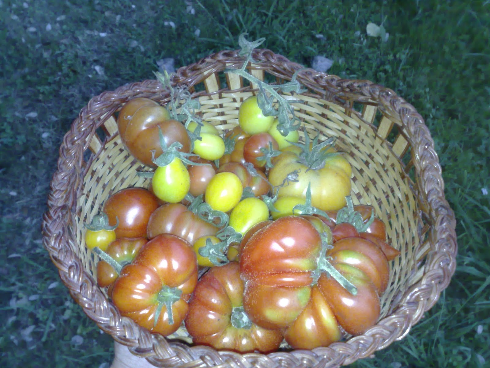 El Huerto Encantado: Surtido de Hortalizas Raras