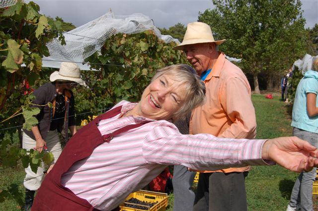 All Extremely Precarious: May 2010