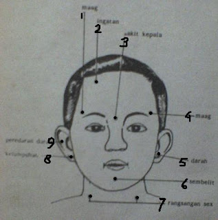 Peta Zona Refleksi Tubuh dan Wajah ~ Pijat Terapi Zona