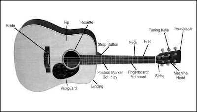 The acoustic guitar: The physics behind the guitar