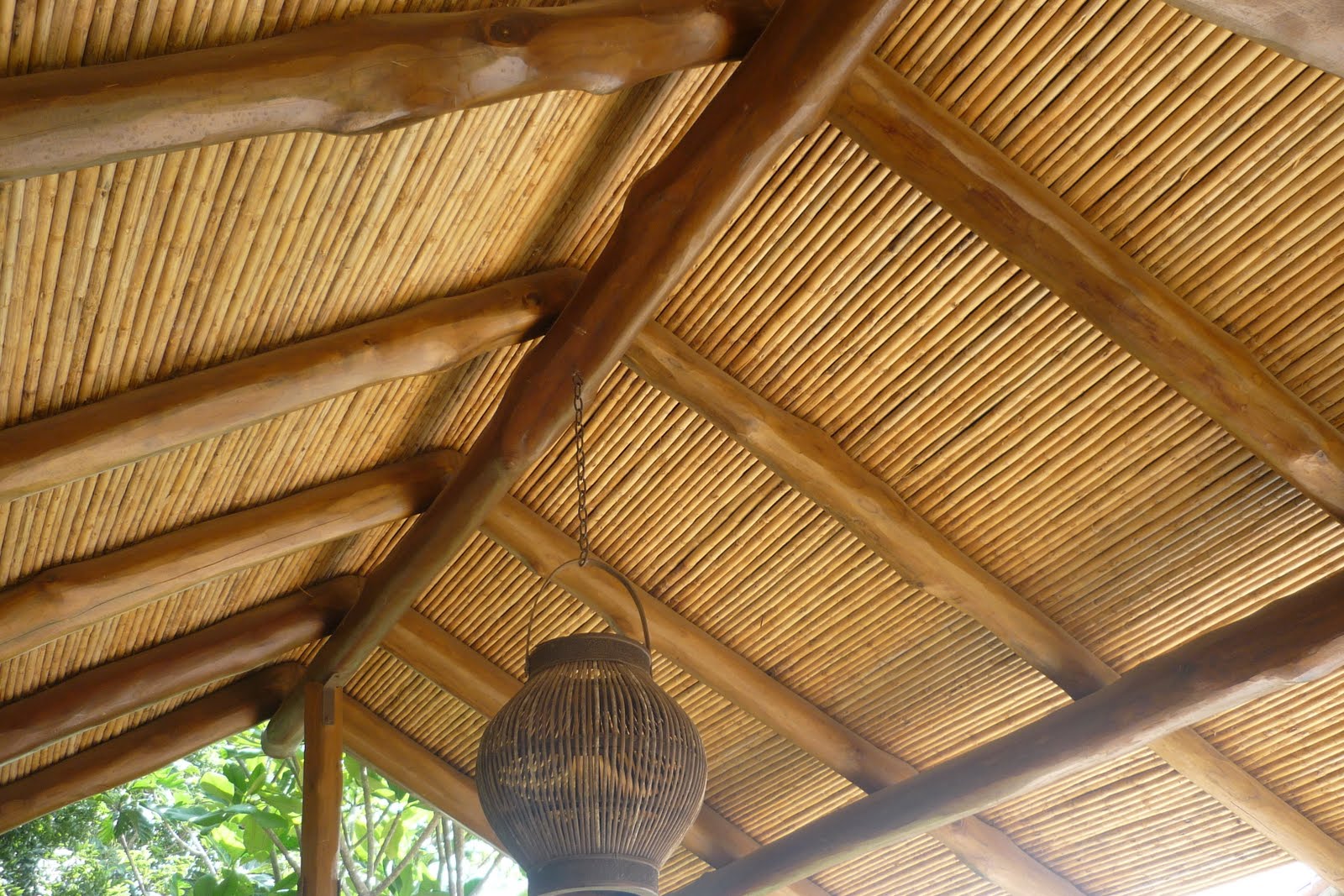 Caña Brava Hnos Seas.: Caña Brava ,producto versatil,exotico y amigable ...