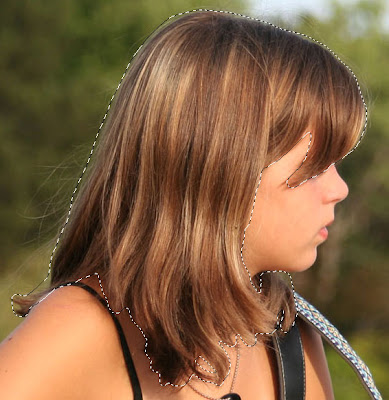 Parafilias: Tricofilia | Golfxs con principios