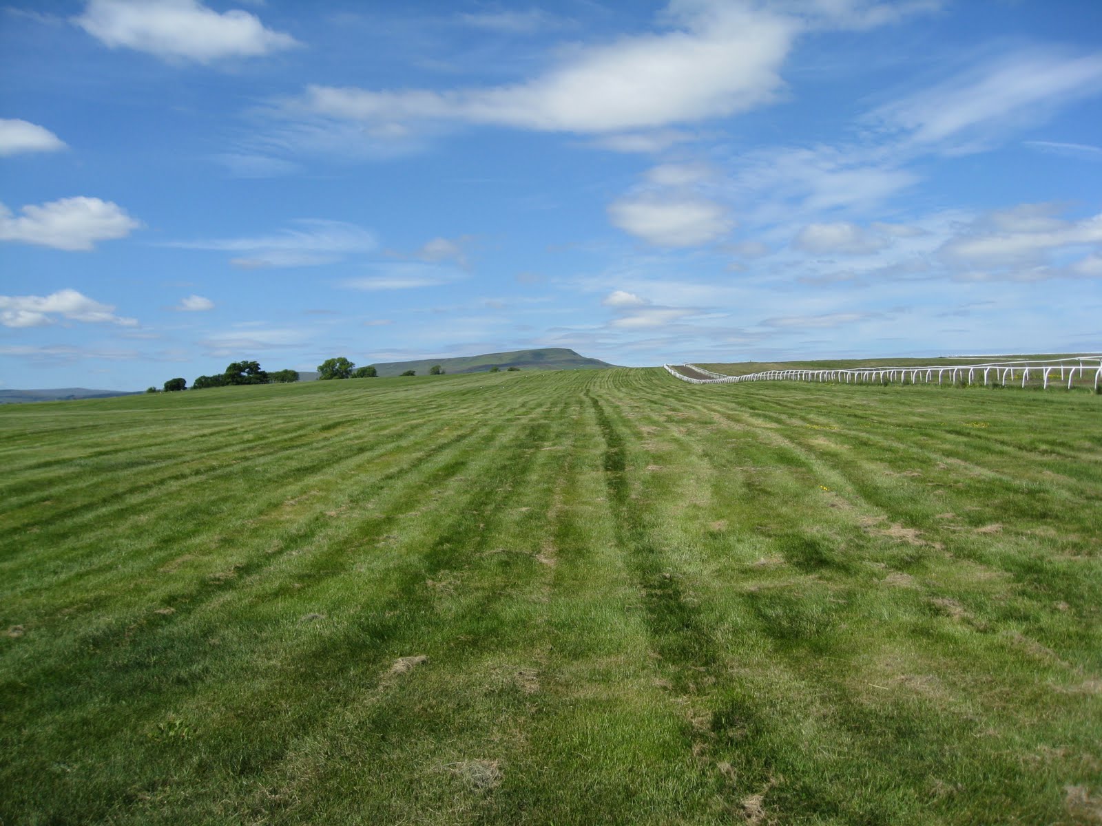 Jim & Gill's Walks: Middleham and Coverdale