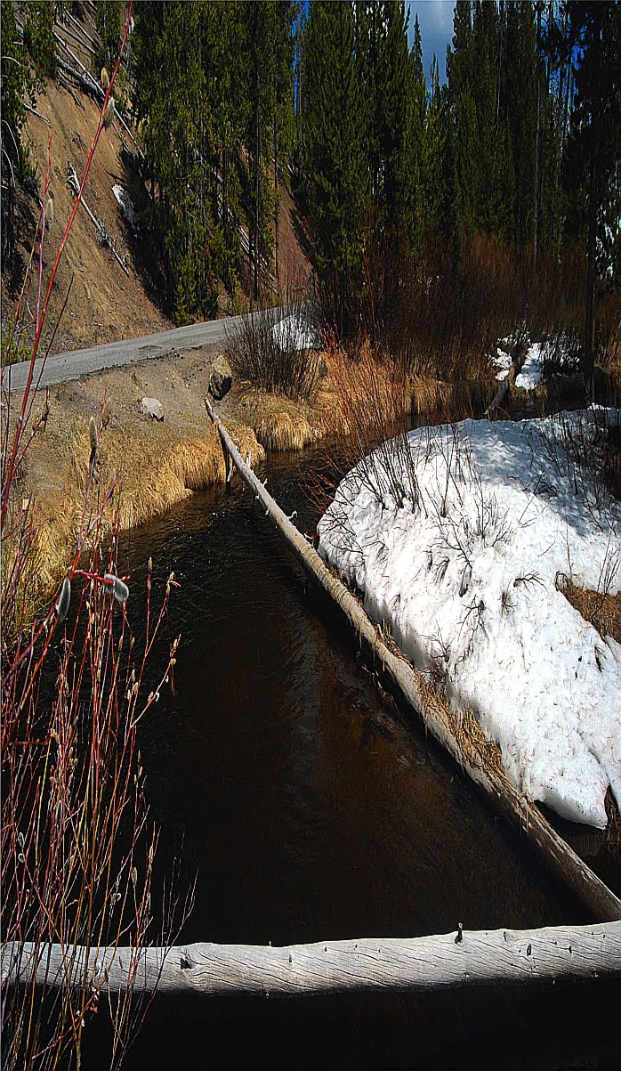 Fly Fishing In Yellowstone National Park: Da Chutes