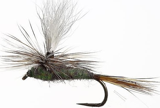 Fly Fishing In Yellowstone National Park: up, UP & AWAAAY