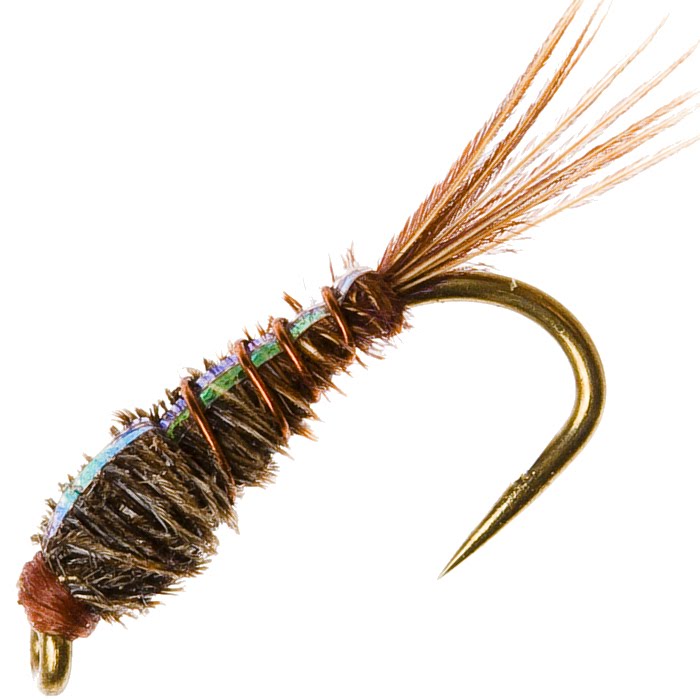 Fly Fishing In Yellowstone National Park: On The Yellowstone River
