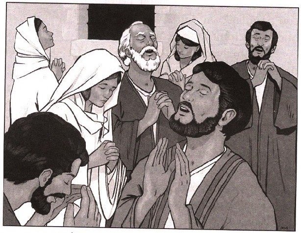 Blog da Tia Alê: RODE (PEDRO), A MENINA ATENCIOSA