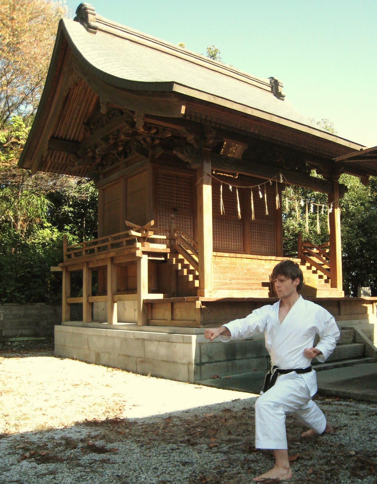 André Bertel's Karate-Do: Gyaku zuki