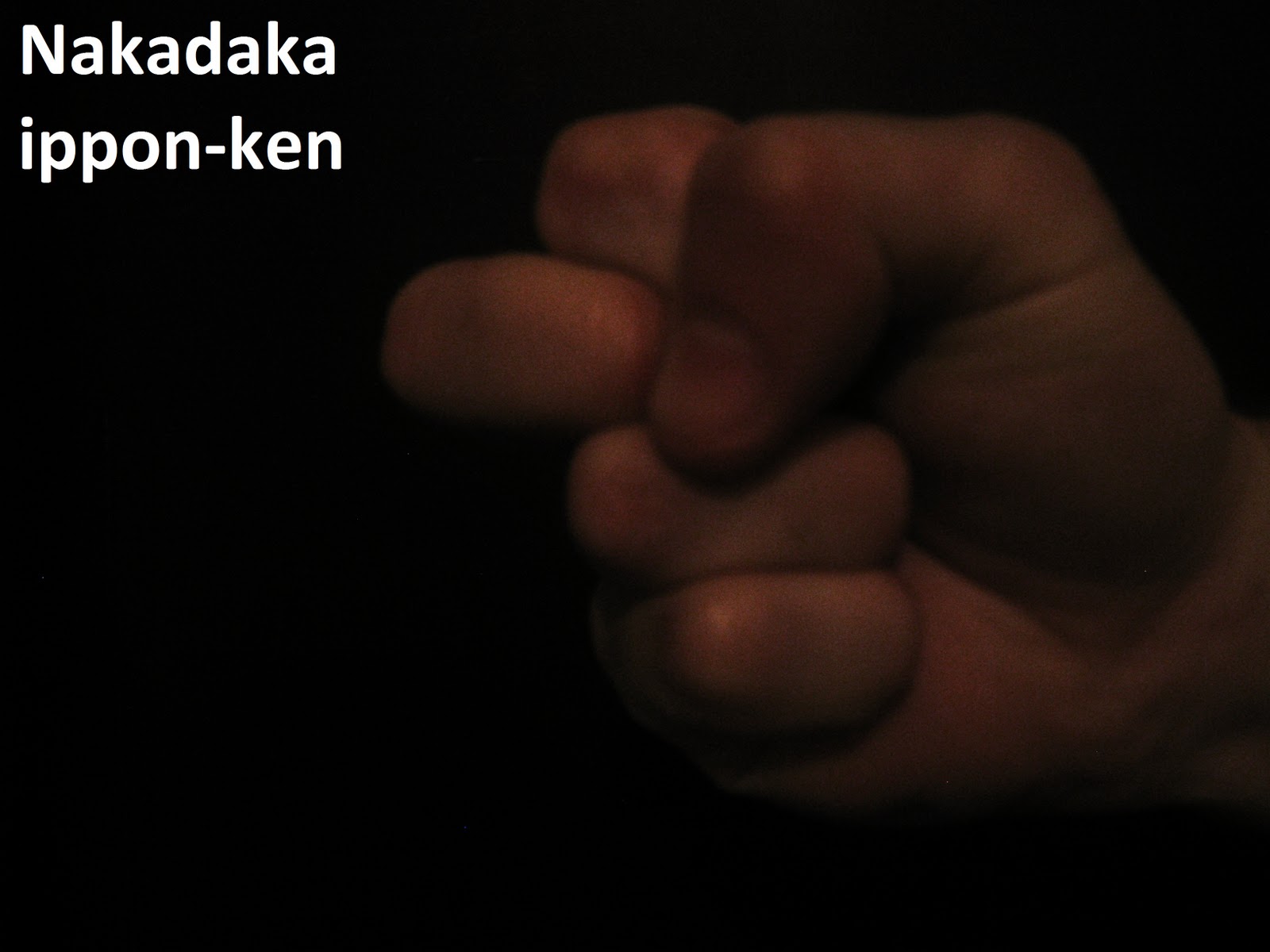 André Bertel's Karate-Do: The Weapons of the Body