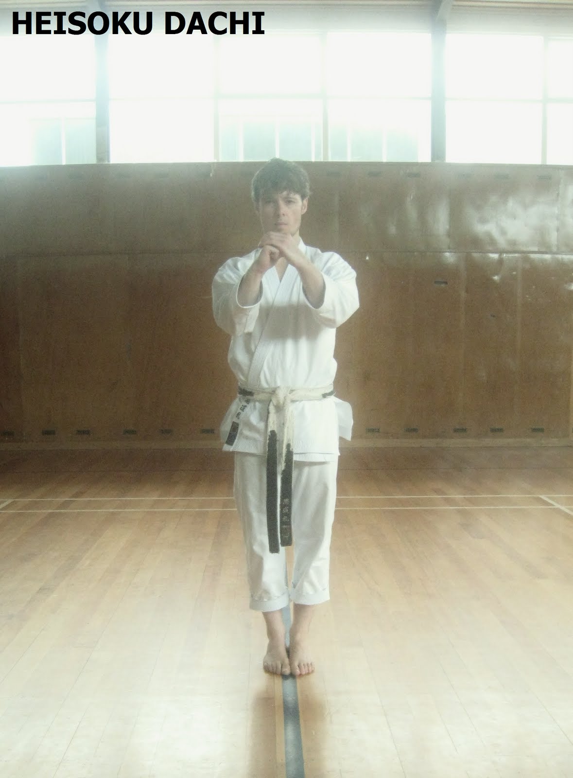 André Bertel's Karate-Do: March 2011