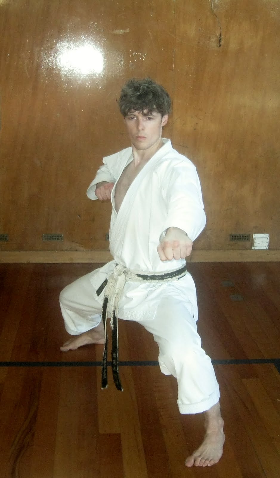 André Bertel's Karate-Do: Correct shomen & hanmi