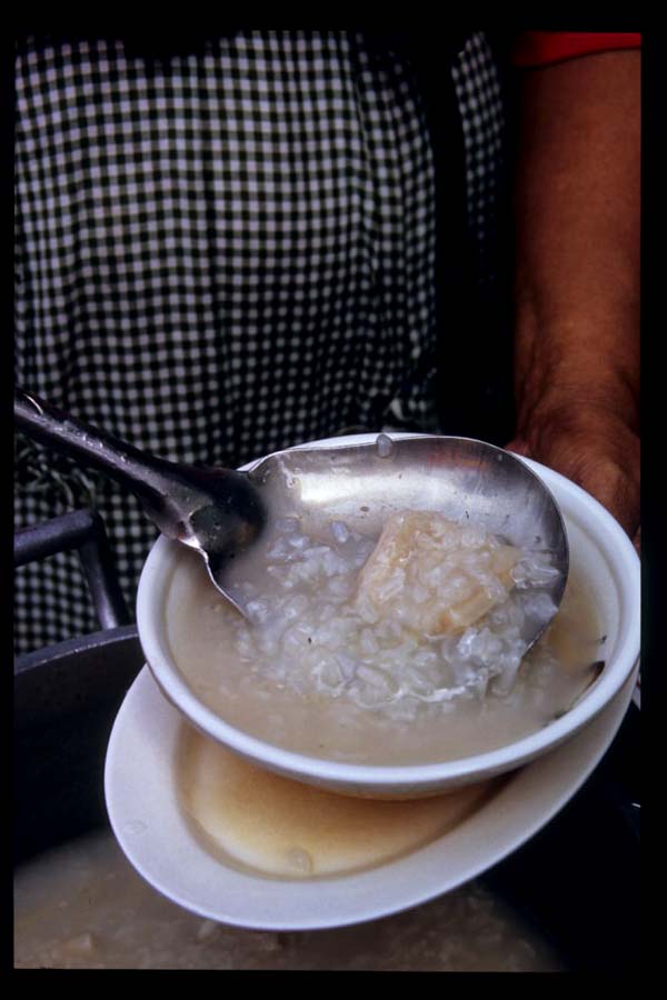 Waldo Wanders: Part 30: Prodigal Summer