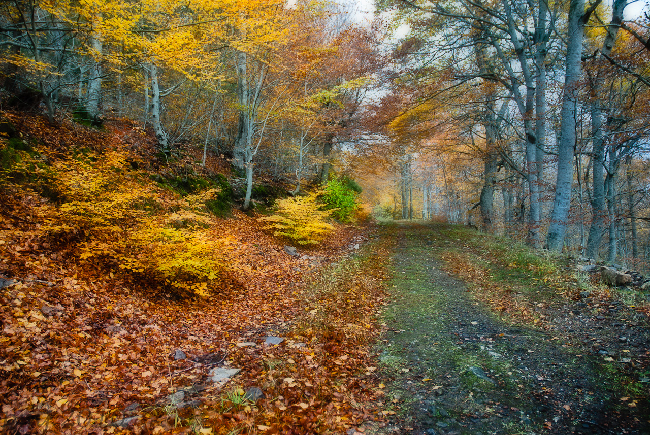 a intervalos: Moncayo: el parque de la Dehesa
