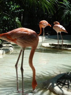 Trip to Central America: Quintana Roo, Mexico