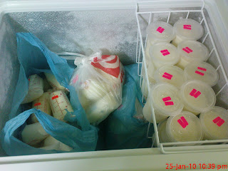 Naluri seorang Wanita: Hasil Tenusu dan Freezer ku...