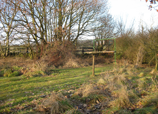 kirkstall creatures great and small: Rodley Nature Reserve