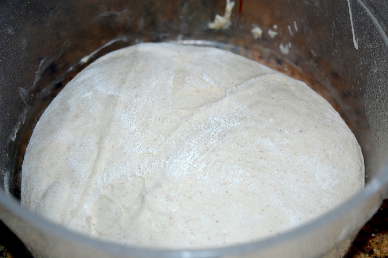 breadbasketcase: Craig Ponsford's Ciabatta