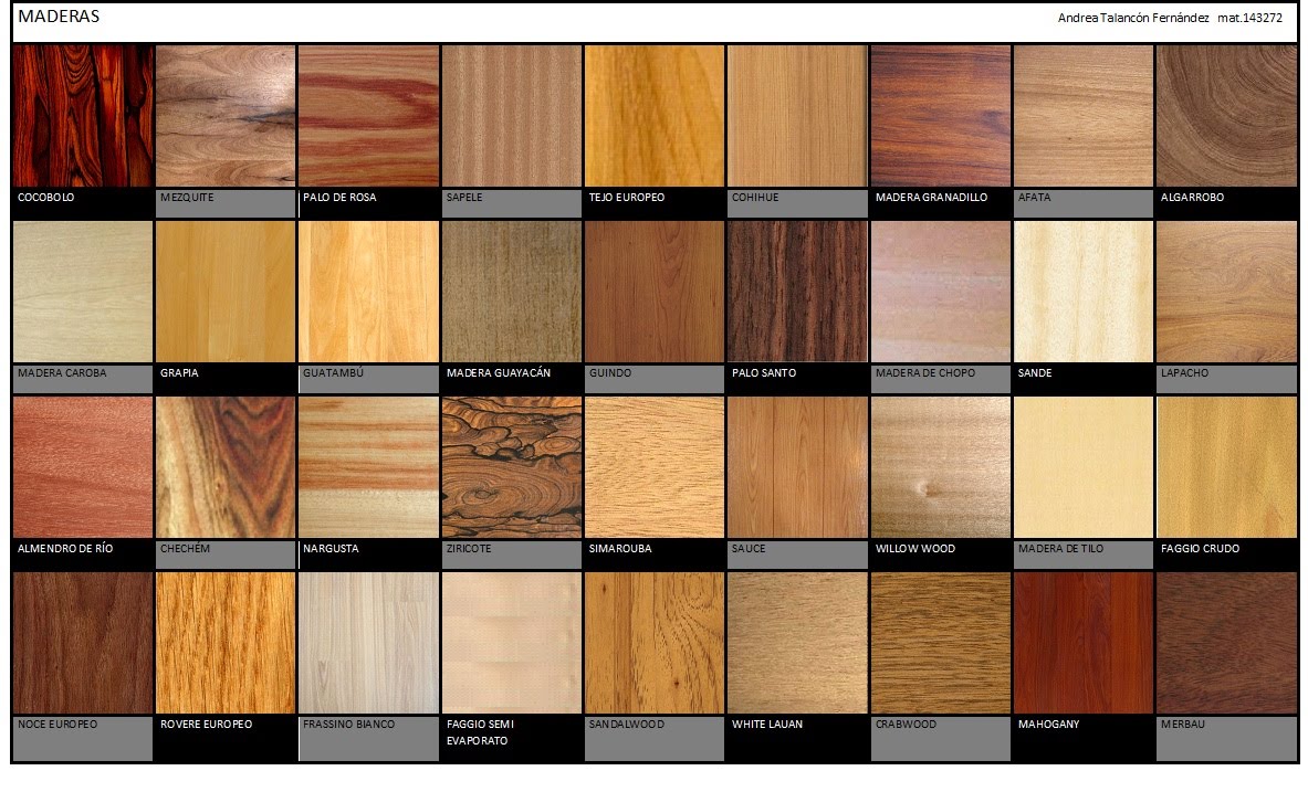 Andrea Talancon: Catalogo Maderas