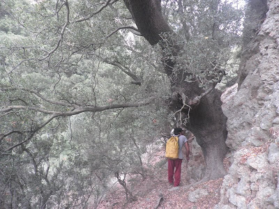 η μαγεια των βουνων και των σπηλαιων
